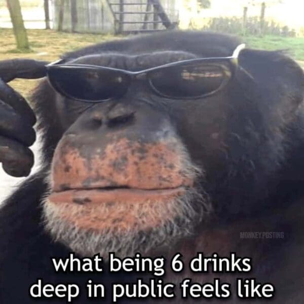 Gorilla Meme Dump: 50 Primate Punchlines in One Swing