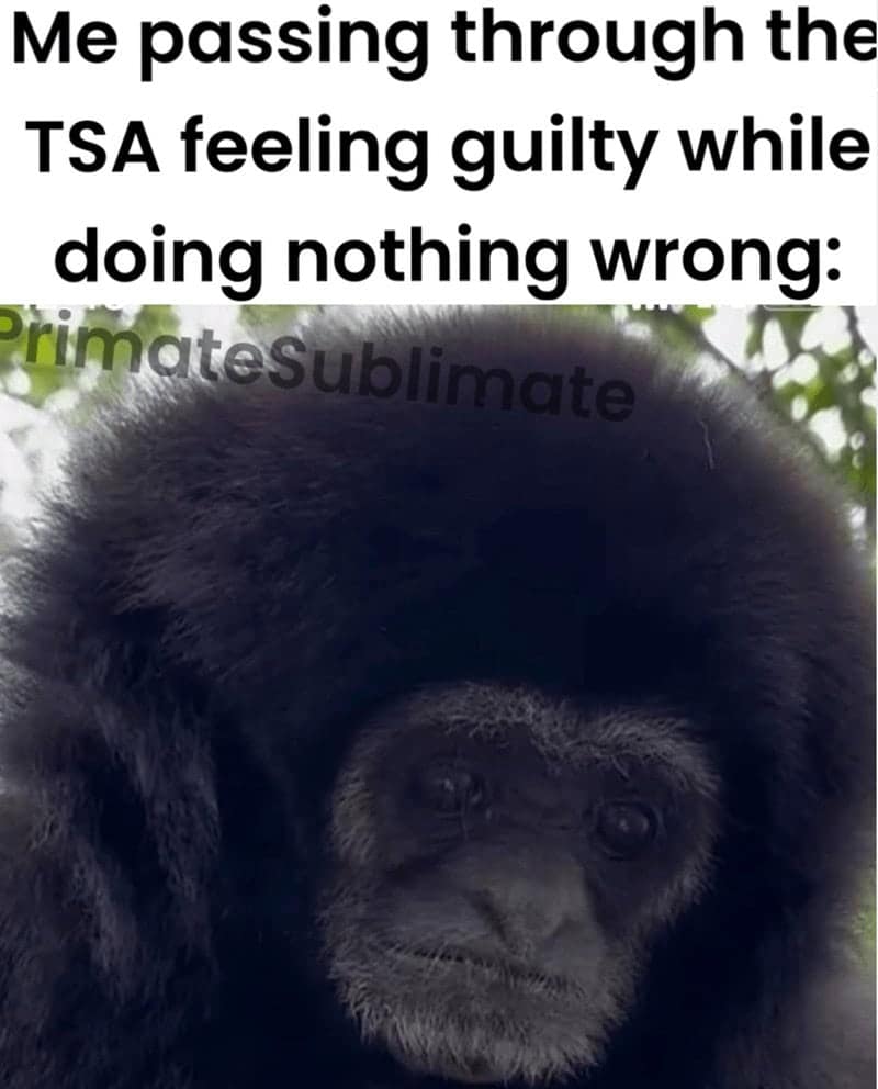 gorilla meme-36-20250505 - Thunder Dungeon | The Funniest Memes. Period.