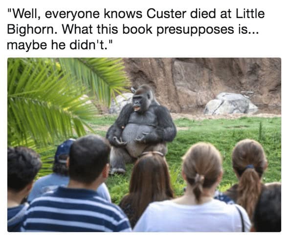 Gorilla Meme Dump: 50 Primate Punchlines in One Swing