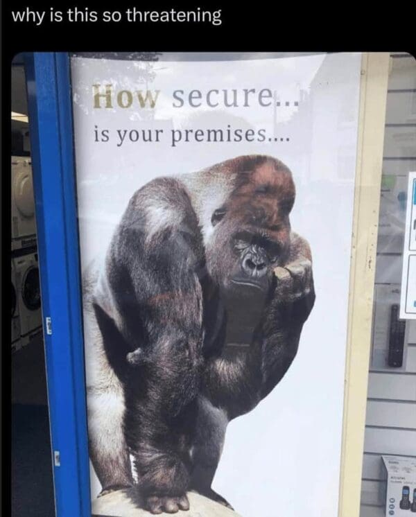 Gorilla Meme Dump: 50 Primate Punchlines in One Swing