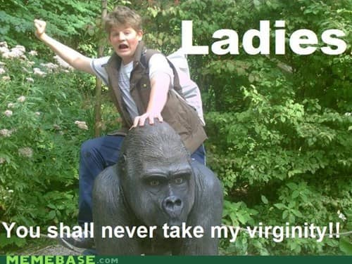 Gorilla Meme Dump: 50 Primate Punchlines in One Swing