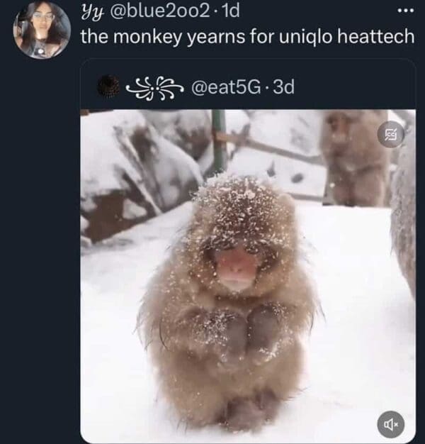 Gorilla Meme Dump: 50 Primate Punchlines in One Swing