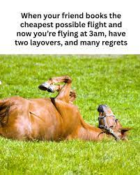 kentucky derby memes-10-20250505 - Thunder Dungeon | The Funniest Memes ...