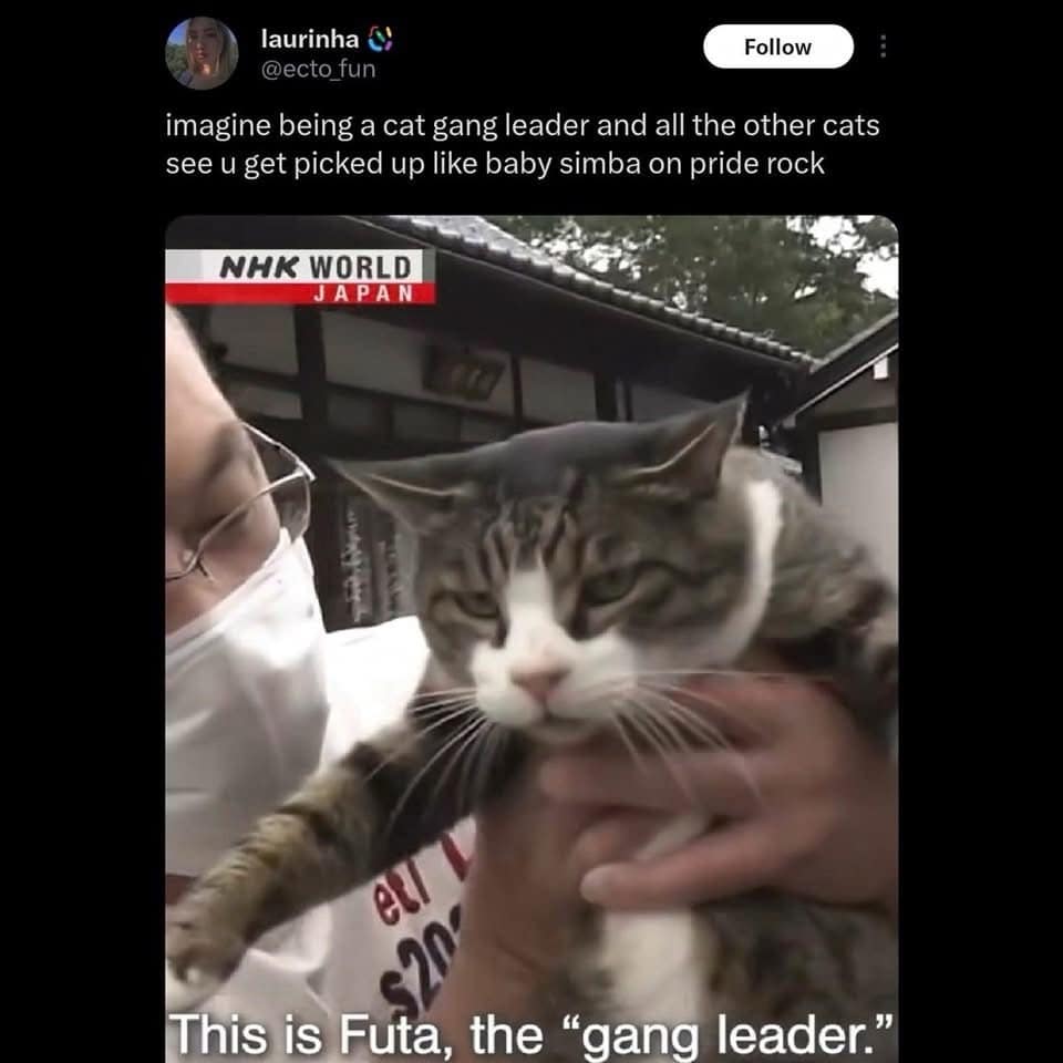 meme dump-04-21-20250527 - Thunder Dungeon | The Funniest Memes. Period.