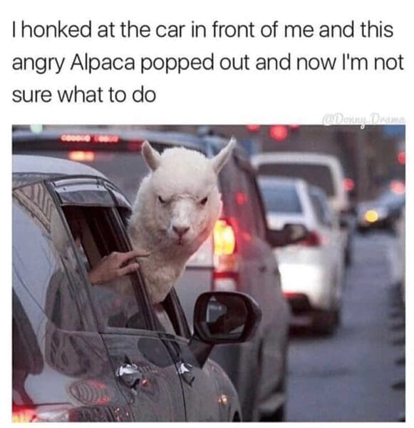 30 Funny Road Rage Memes to Help Your Commute Stress
