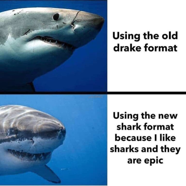 Shark Memes: 34 Fins, Grins, and Sudden Laugh Attacks