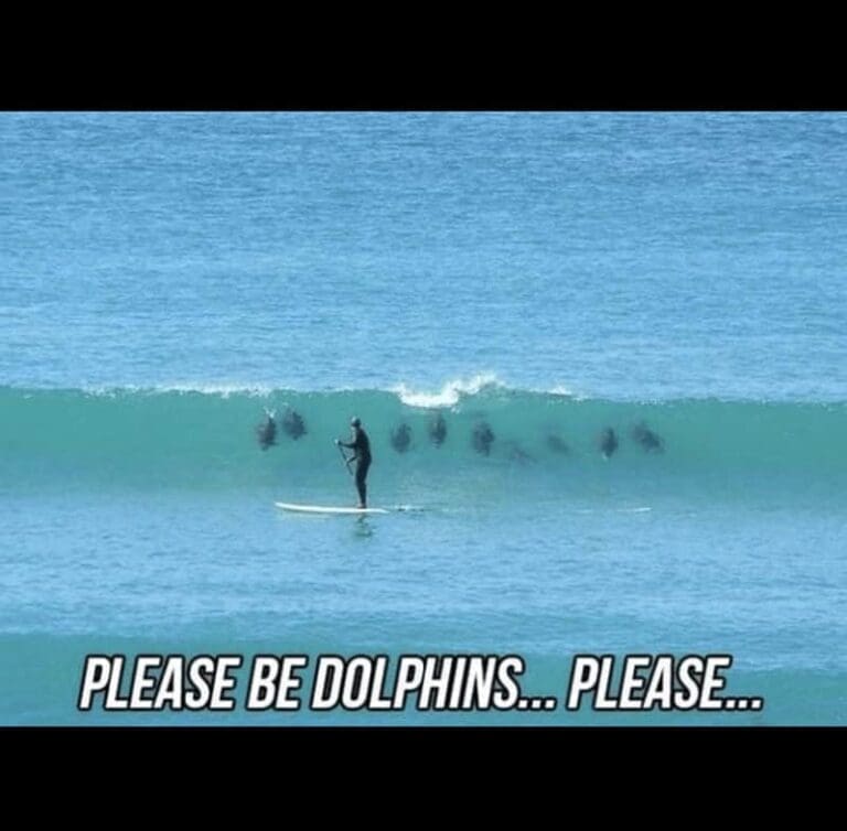Surfing Memes: 30 Swell Laughs for Wave Chasers