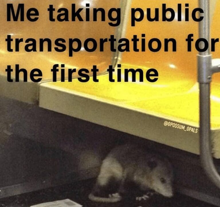 20 Transit Memes That Will Make You Seriously Consider Driving
