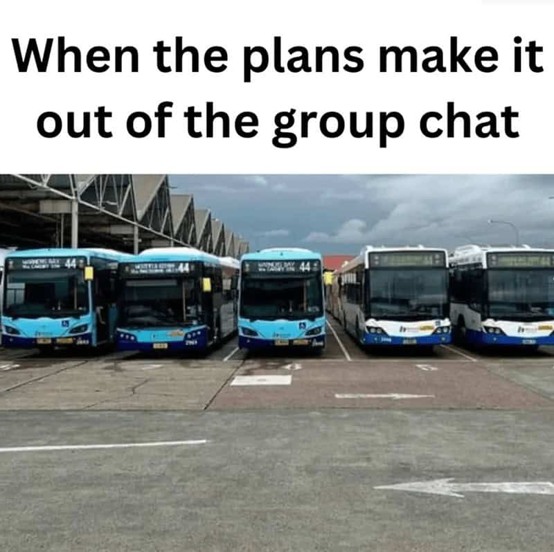 transit memes-6-5-26-2025 - Thunder Dungeon | The Funniest Memes. Period.