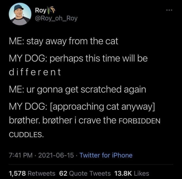 Classic Memes: 25 Relatable Oldies That Still Get Shared