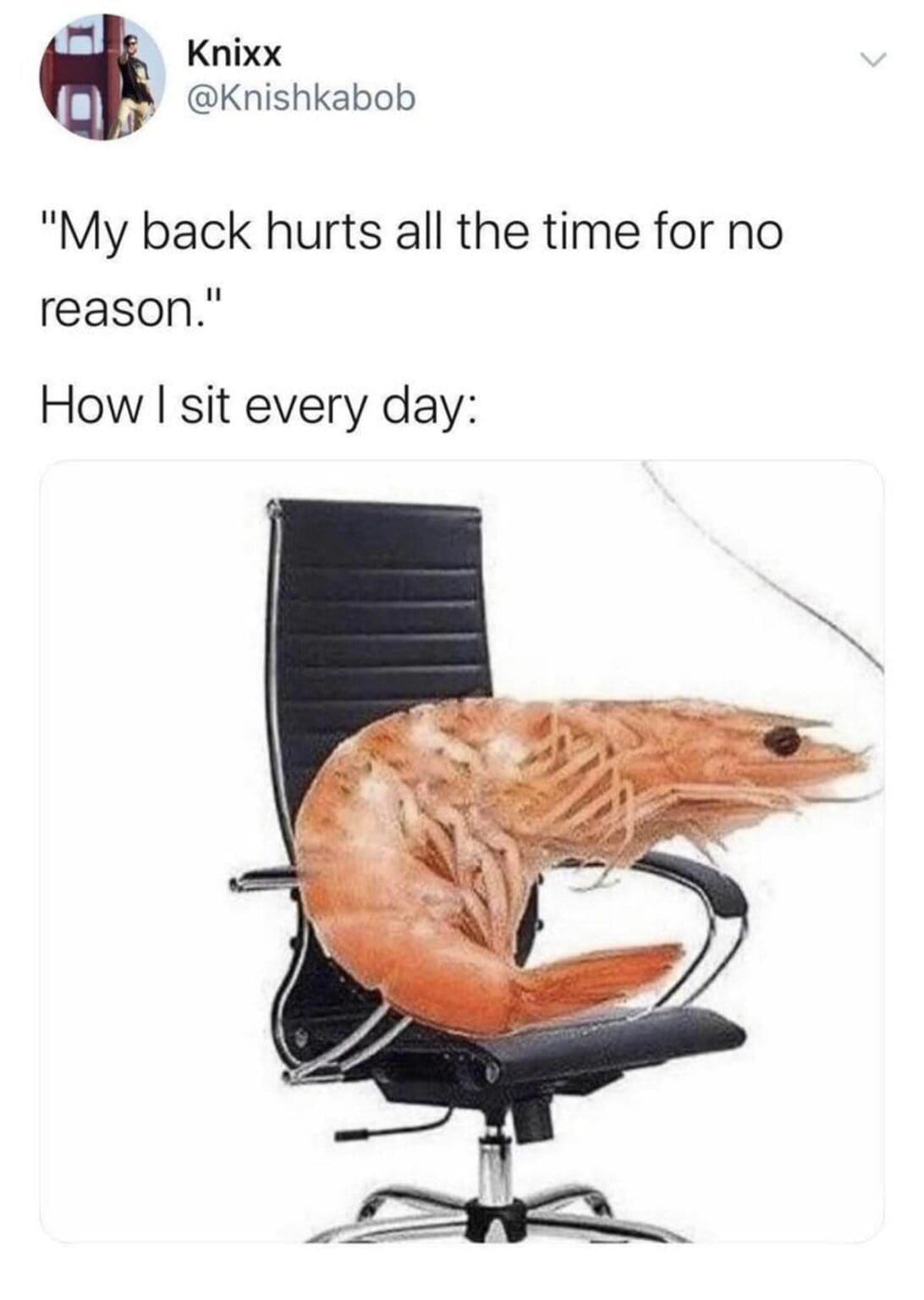 Classic Memes: 25 Relatable Oldies That Still Get Shared