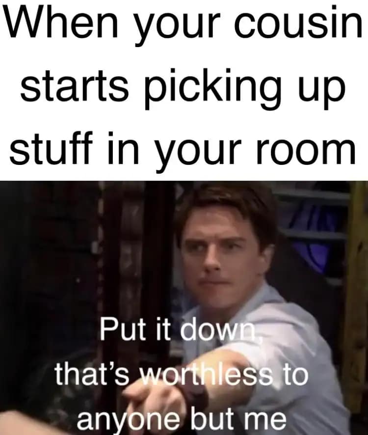 cousin memes-24-6-2-2025 - Thunder Dungeon | The Funniest Memes. Period.