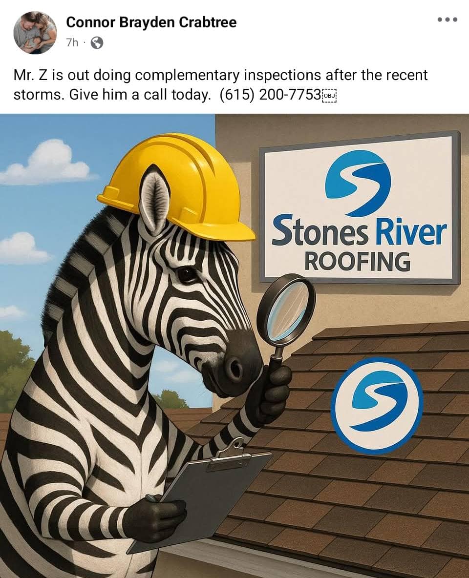 ed the zebra memes-11-20250617 - Thunder Dungeon | The Funniest Memes ...