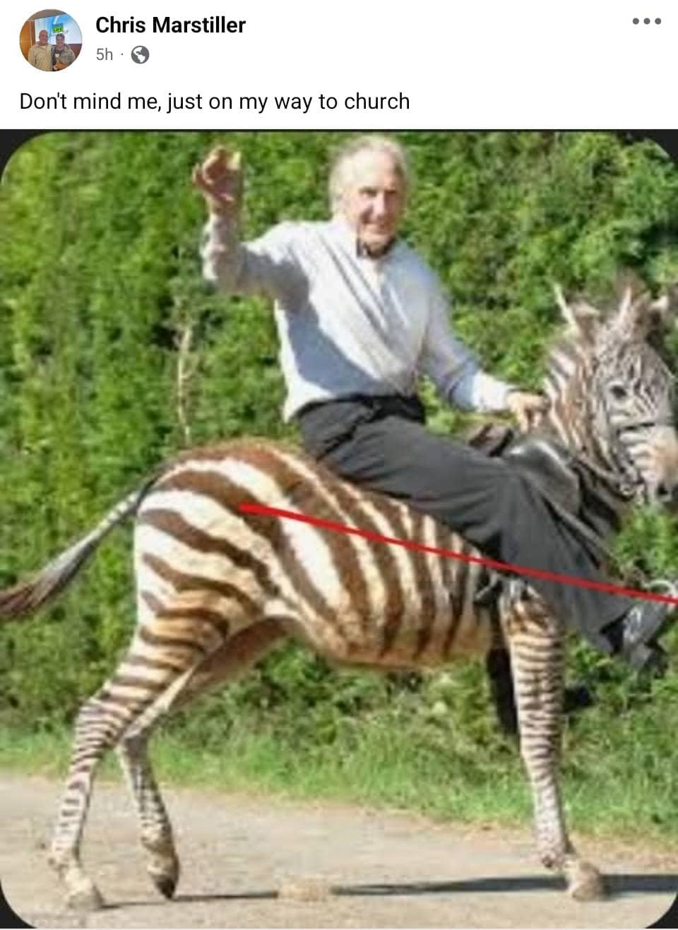 ed the zebra memes-12-20250617 - Thunder Dungeon | The Funniest Memes ...