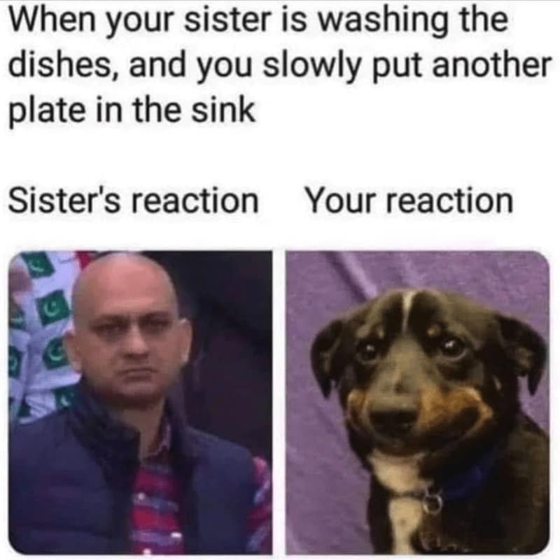 family memes-17-6-2-2025 - Thunder Dungeon | The Funniest Memes. Period.