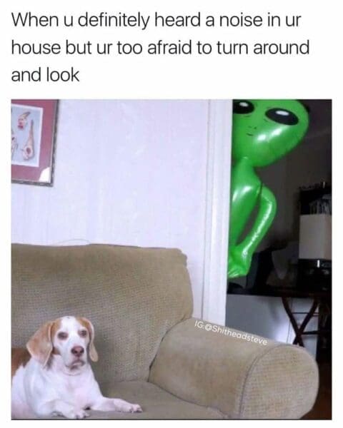 Funny Alien Memes: 35 LOLs for the True Believers