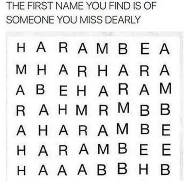 harambe memes-19-20250602 - Thunder Dungeon | The Funniest Memes. Period.