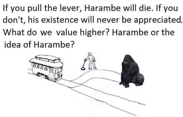 Harambe Memes: 25 Gorilla-Sized Laughs, Nine Years Later