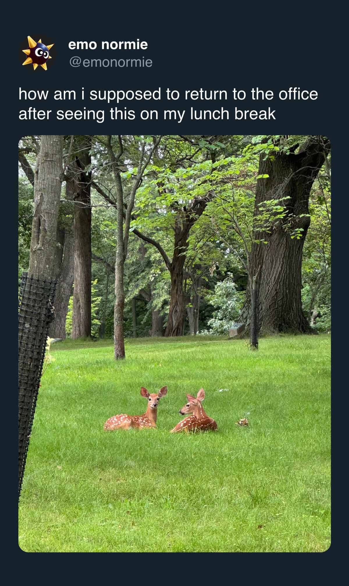 meme dump-7-20250619 - Thunder Dungeon | The Funniest Memes. Period.