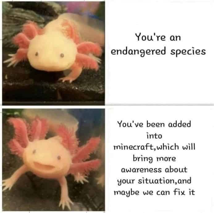 ocean memes-11-6-2-2025 - Thunder Dungeon | The Funniest Memes. Period.