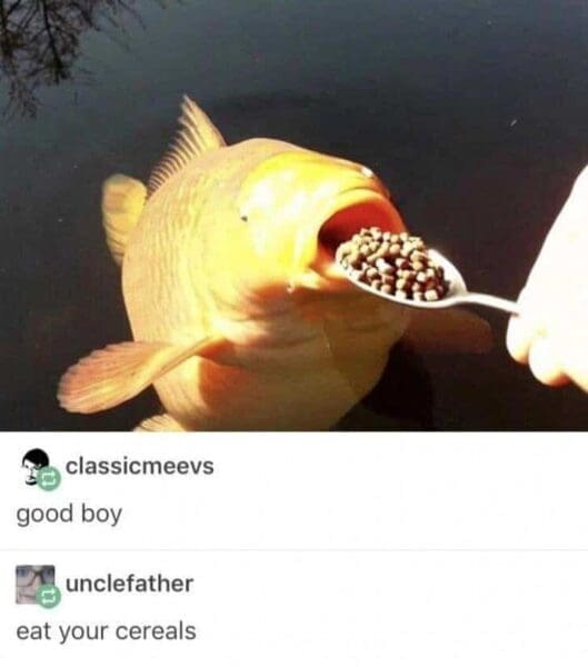 26 Ocean Memes for All Wannabe Marine Biologists