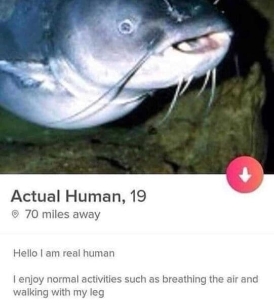 26 Ocean Memes for All Wannabe Marine Biologists