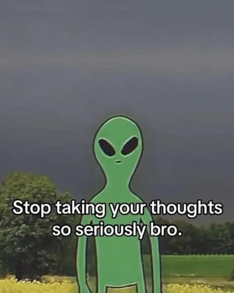Positive Memes: 32 Wholesome Vibes to Lift Your Mood