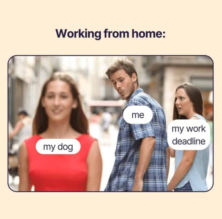 Work From Home Meme Dump: 40 Jokes for Pajama Professionals