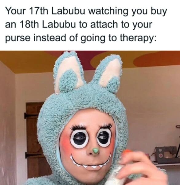 25 Labubu Memes For Everyone Obsessed With The Fad
