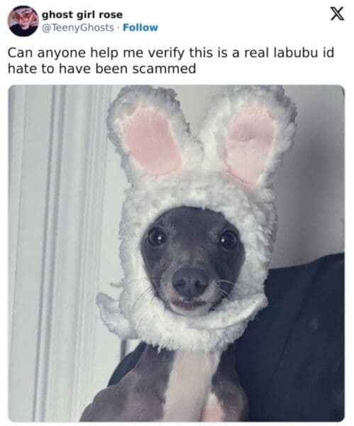 25 Labubu Memes For Everyone Obsessed With The Fad
