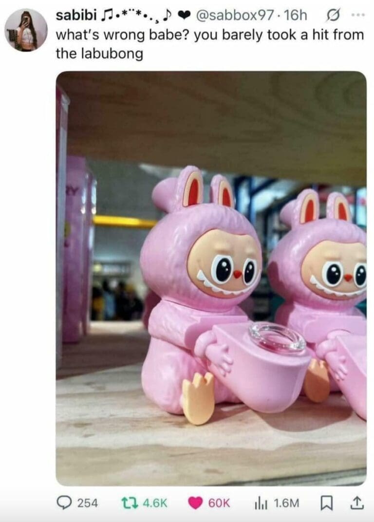 25 Labubu Memes For Everyone Obsessed With The Fad