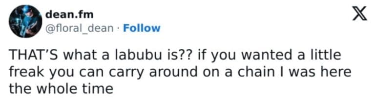 25 Labubu Memes For Everyone Obsessed With The Fad