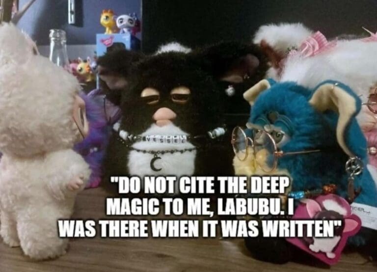 25 Labubu Memes For Everyone Obsessed With The Fad