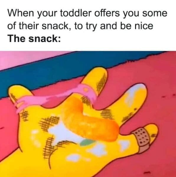 45 Toddler Memes for Parents Who Need a Laugh