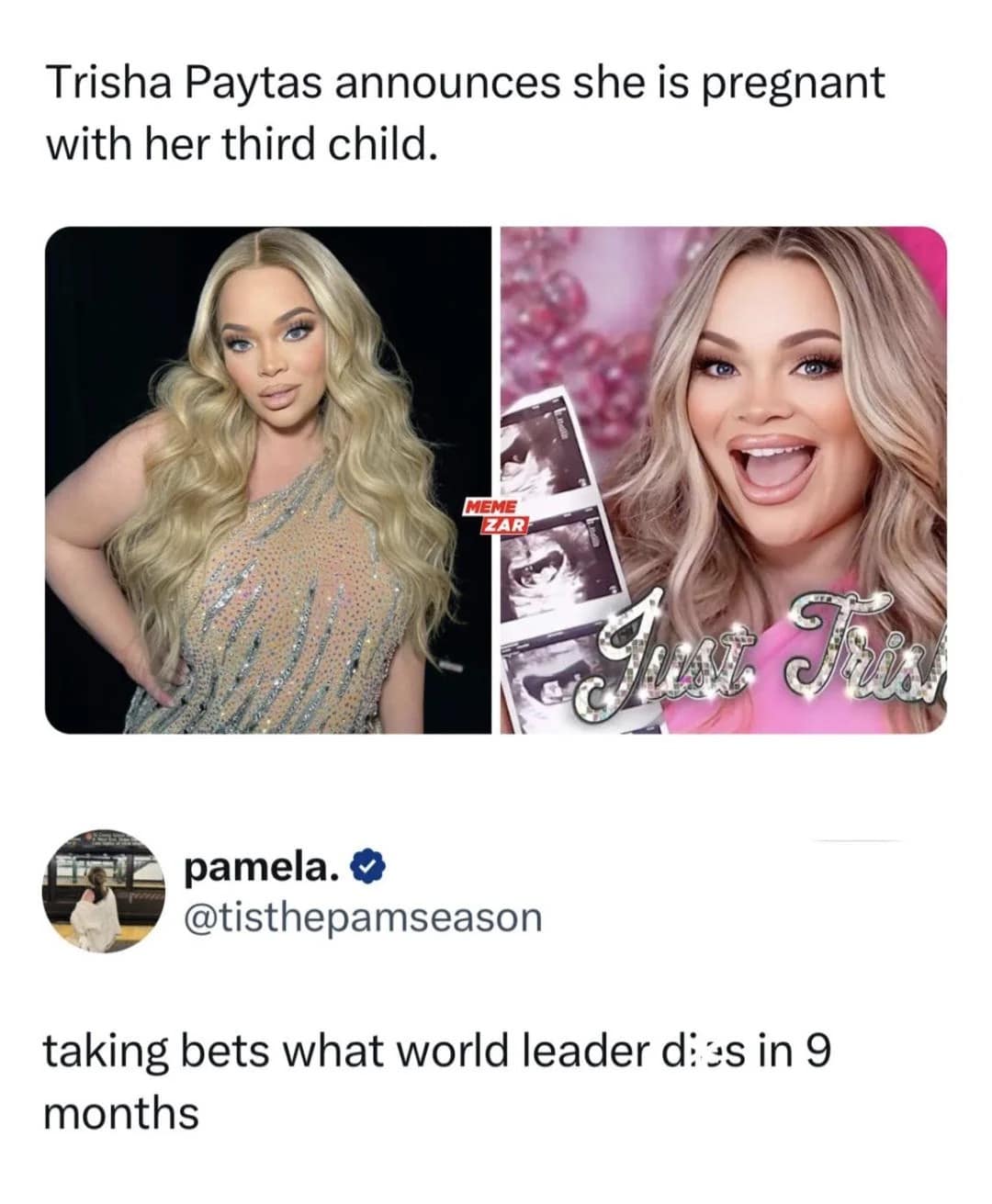 Trisha paytas baby conspiracy-16-20250723 - Thunder Dungeon | The Funniest Memes. Period.