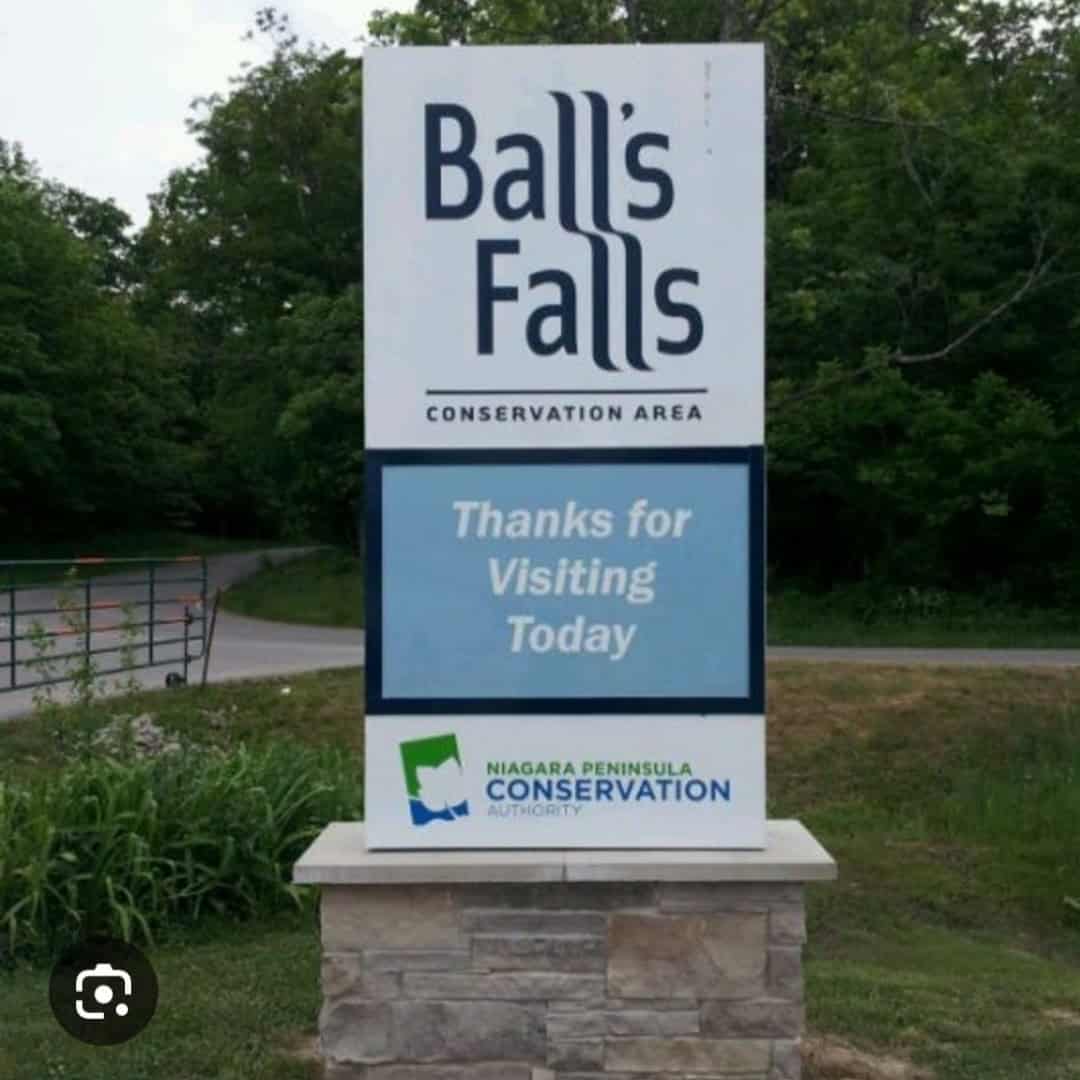 awesome sign designs-18-6-30-2025 - Thunder Dungeon | The Funniest ...