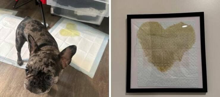 crafting gone bad-22-7-5-2025 - Thunder Dungeon | The Funniest Memes ...