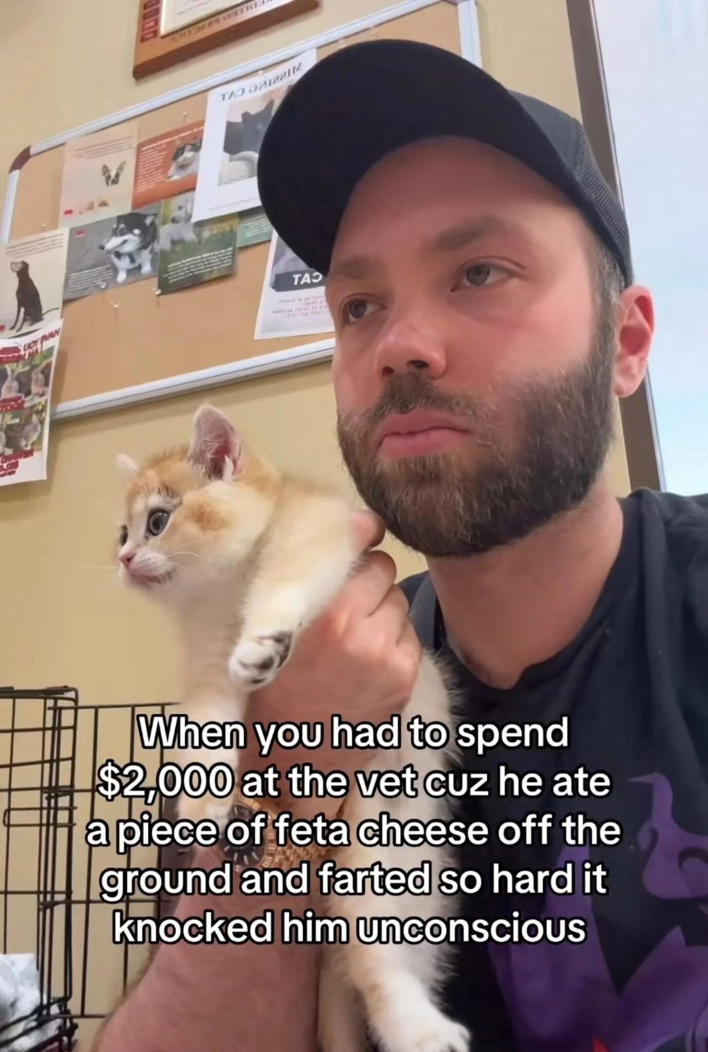 45 Fart Memes to Prove Everyone’s Inner Child is Alive and Well