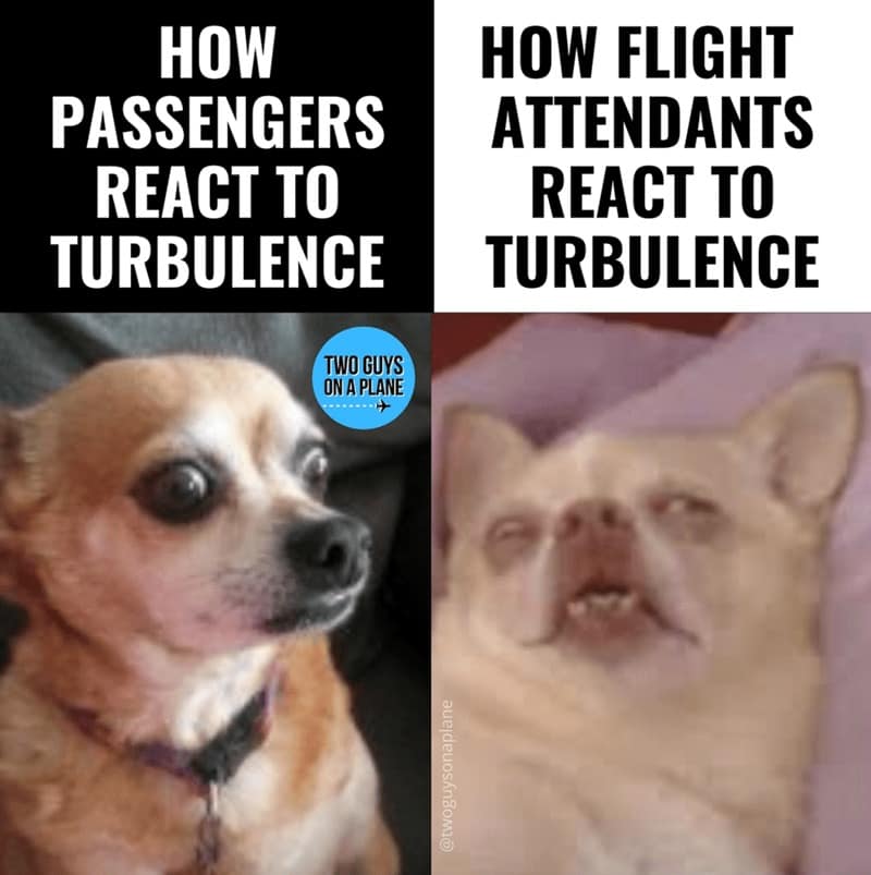 flight attendant memes-18-7-21-2025 - Thunder Dungeon | The Funniest ...