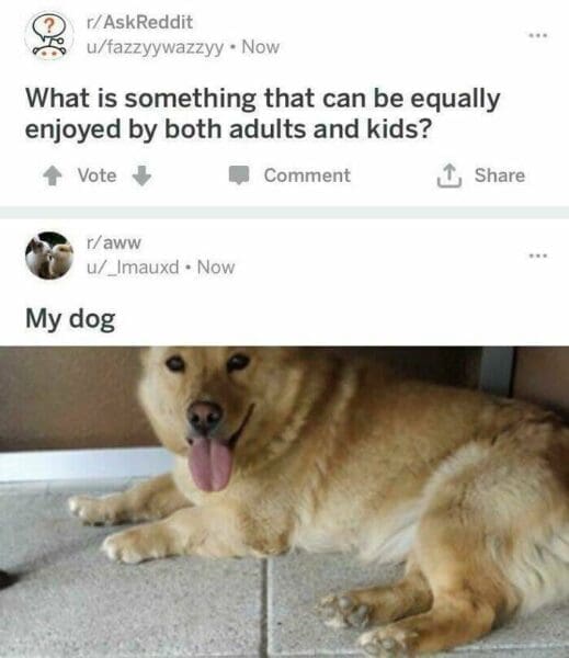 35 Funniest Screenshots That Earn a Spot in Meme History