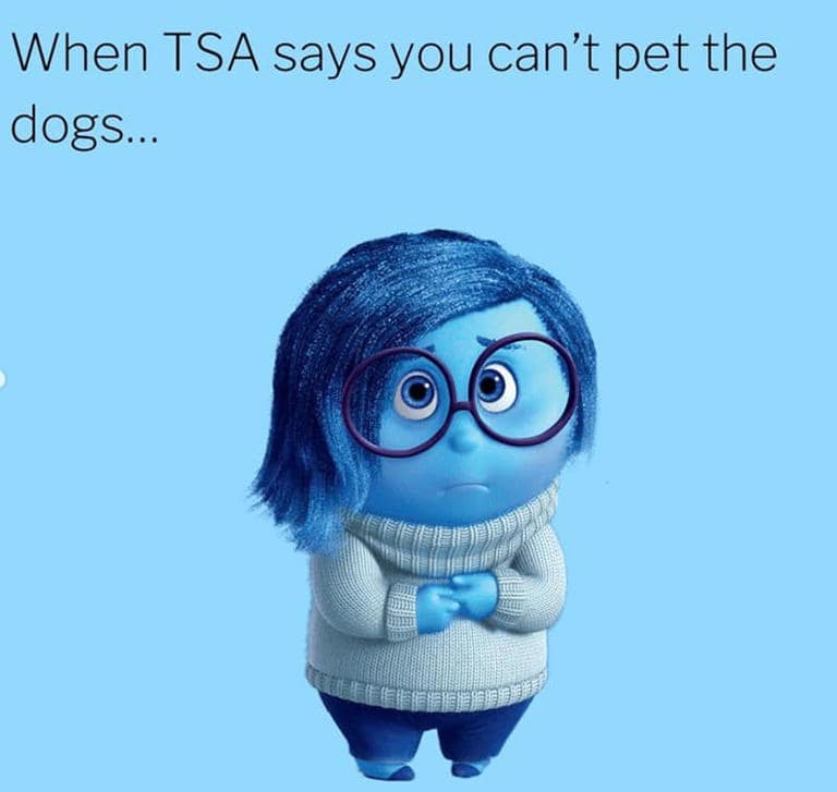 funny TSA memes-20-20250709 - Thunder Dungeon | The Funniest Memes. Period.