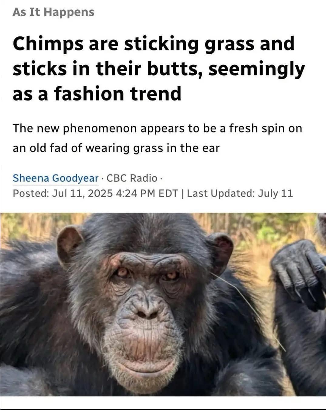 funny memes-25-7-24-2025 - Thunder Dungeon | The Funniest Memes. Period.