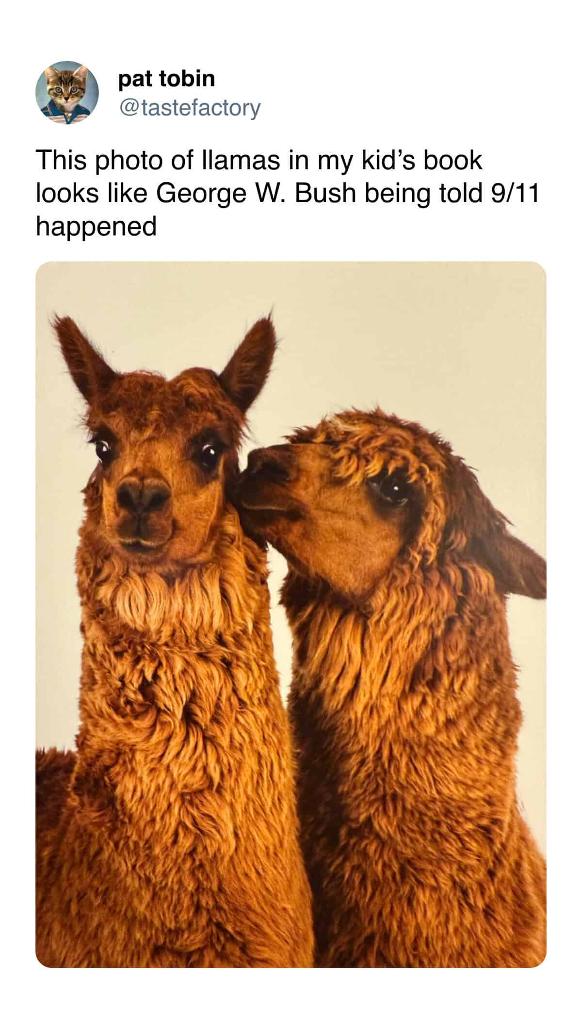 funny pics 1-16-7-4-2025 - Thunder Dungeon | The Funniest Memes. Period.