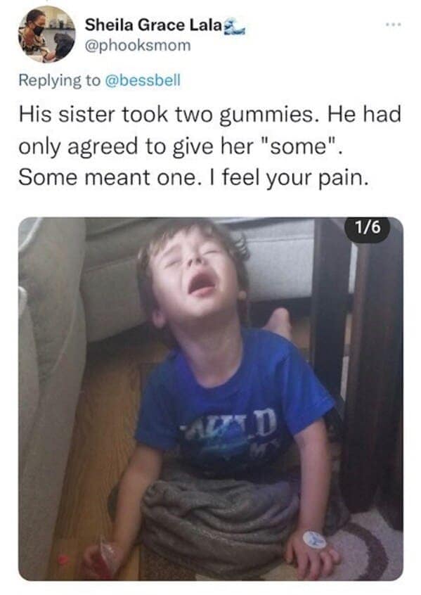 20 Times Parents Shared Their Most Ridiculous Toddler Tantrums