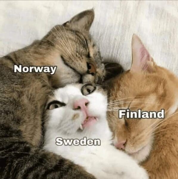 30 Geography Memes That Prove Borders Are Hilarious