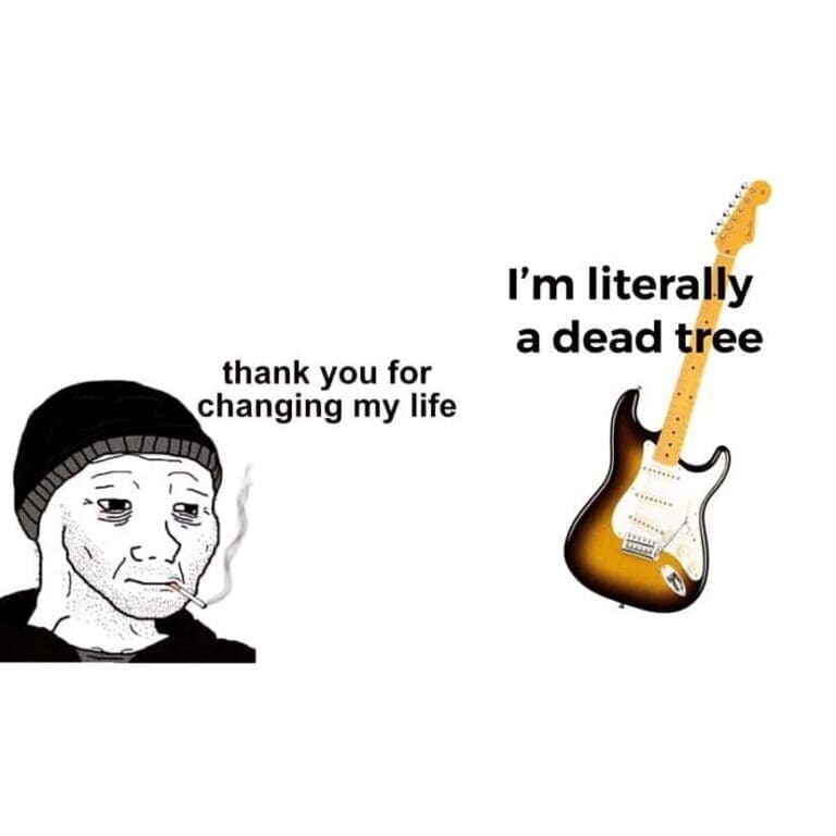 34 Guitar Memes Perfectly Tuned for Players Who Swear They Know More ...