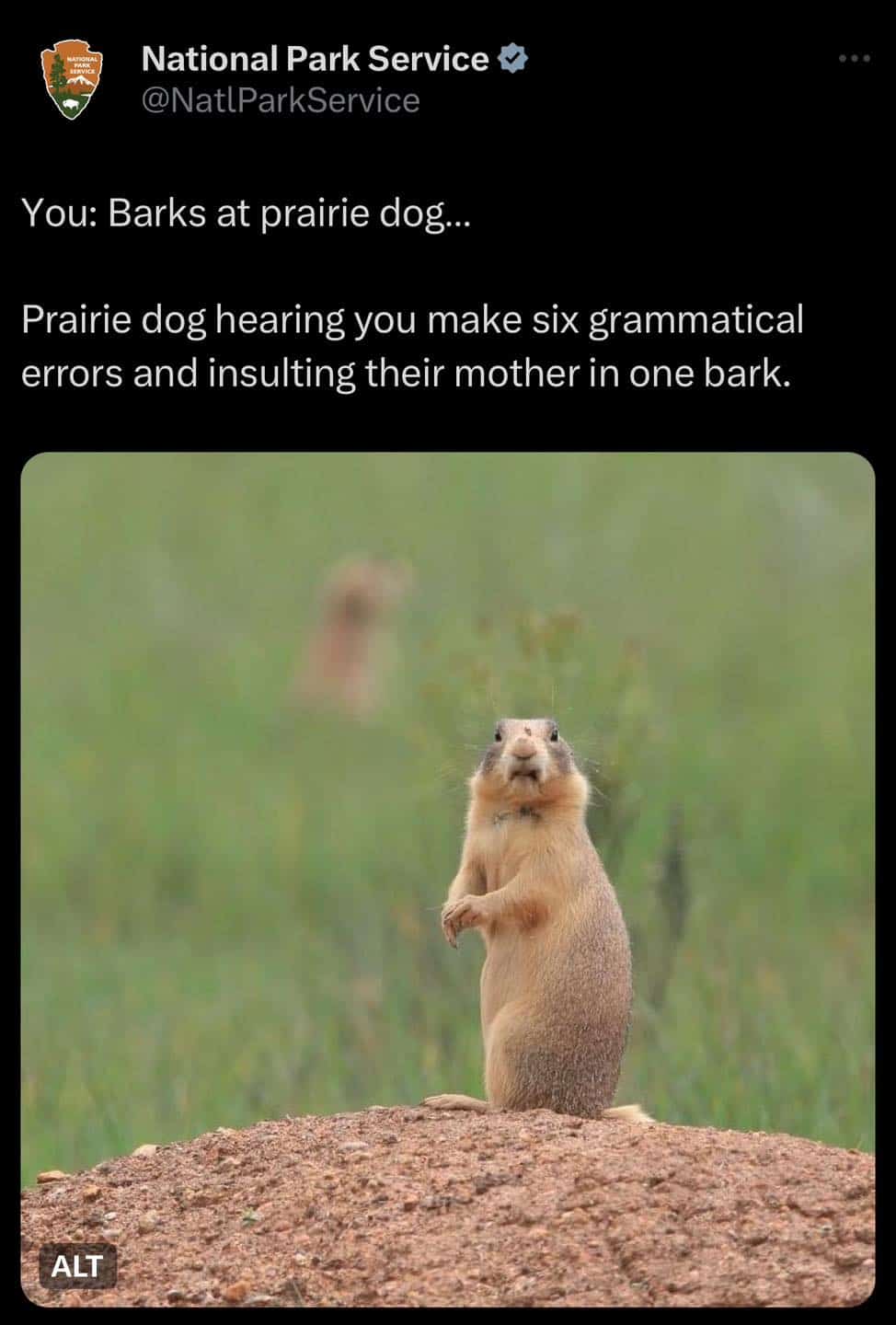 national park service tweets-12-7-23-2025 - Thunder Dungeon | The Funniest Memes. Period.