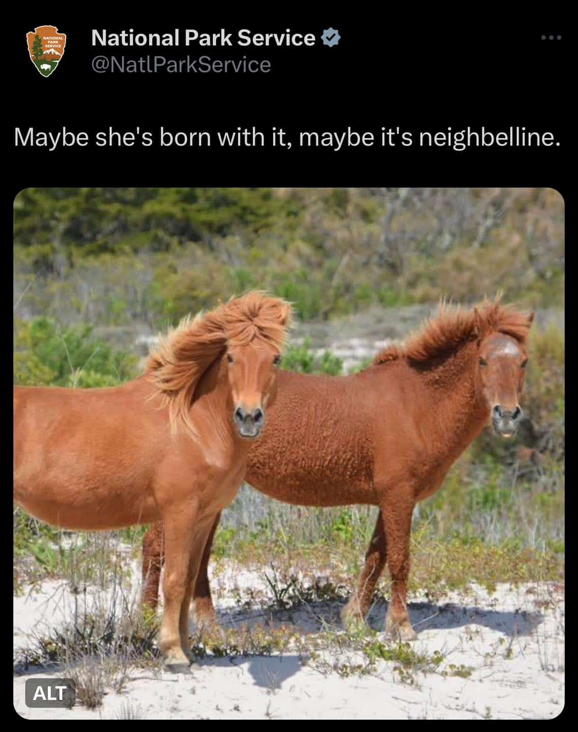 national park service tweets-17-7-23-2025 - Thunder Dungeon | The Funniest Memes. Period.