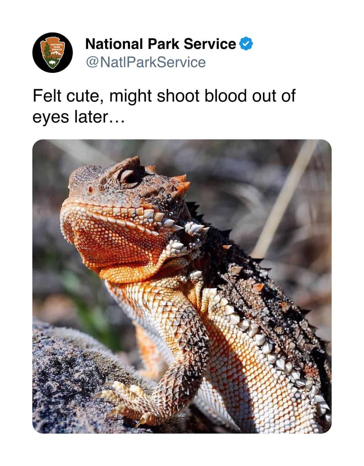 national park service tweets-36-7-23-2025 - Thunder Dungeon | The Funniest Memes. Period.