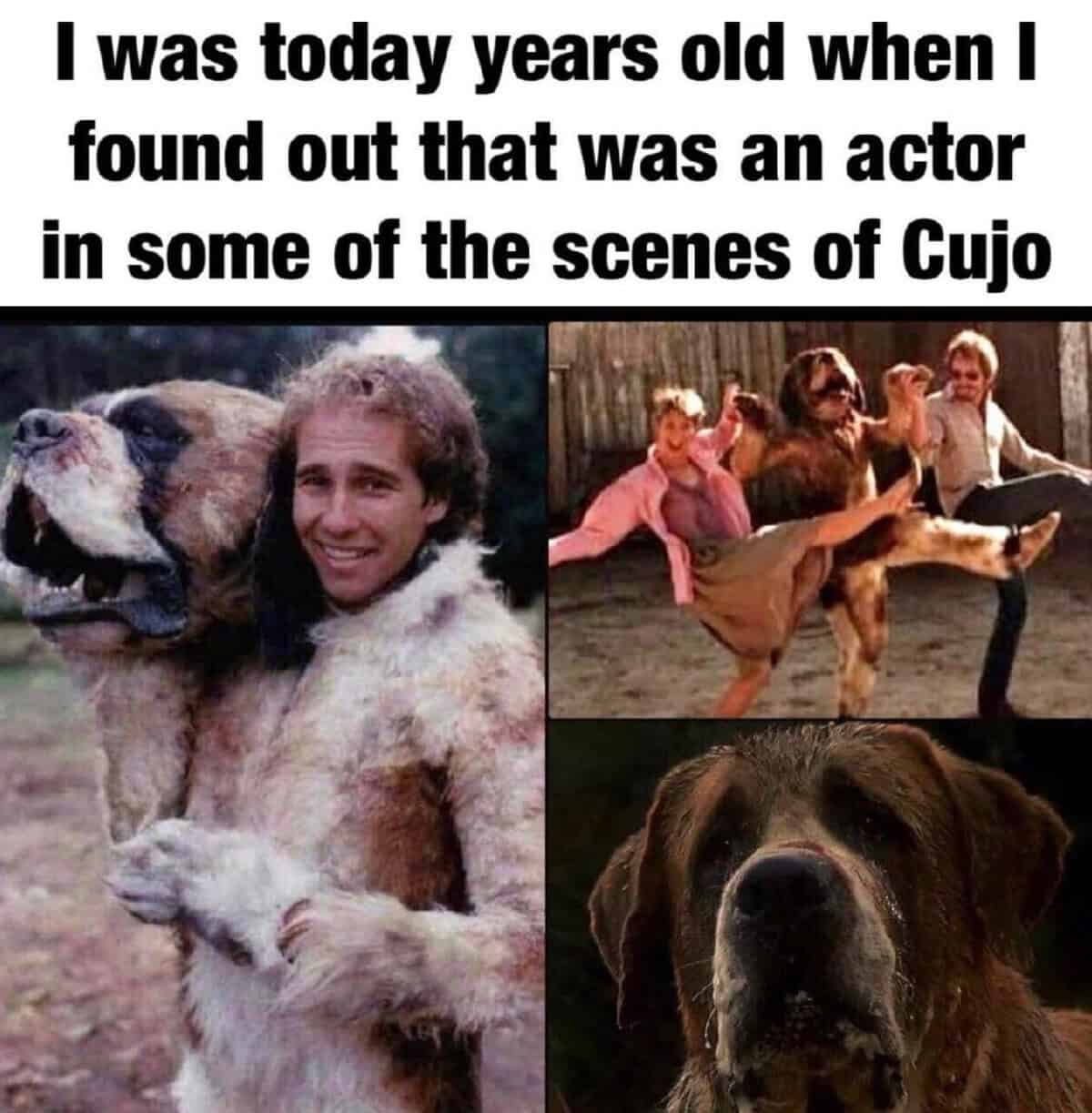 nostalgia memes-1-20250720 - Thunder Dungeon | The Funniest Memes. Period.